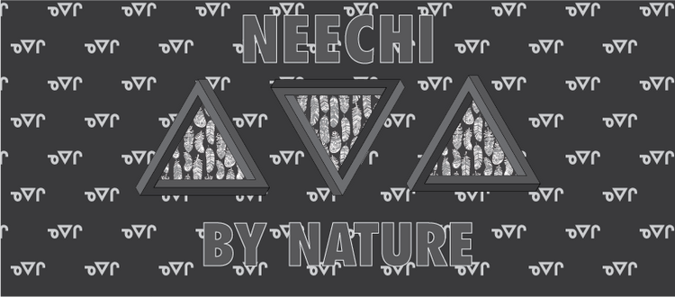 Neechi By Nature Urban Indigenous Designer Apparel